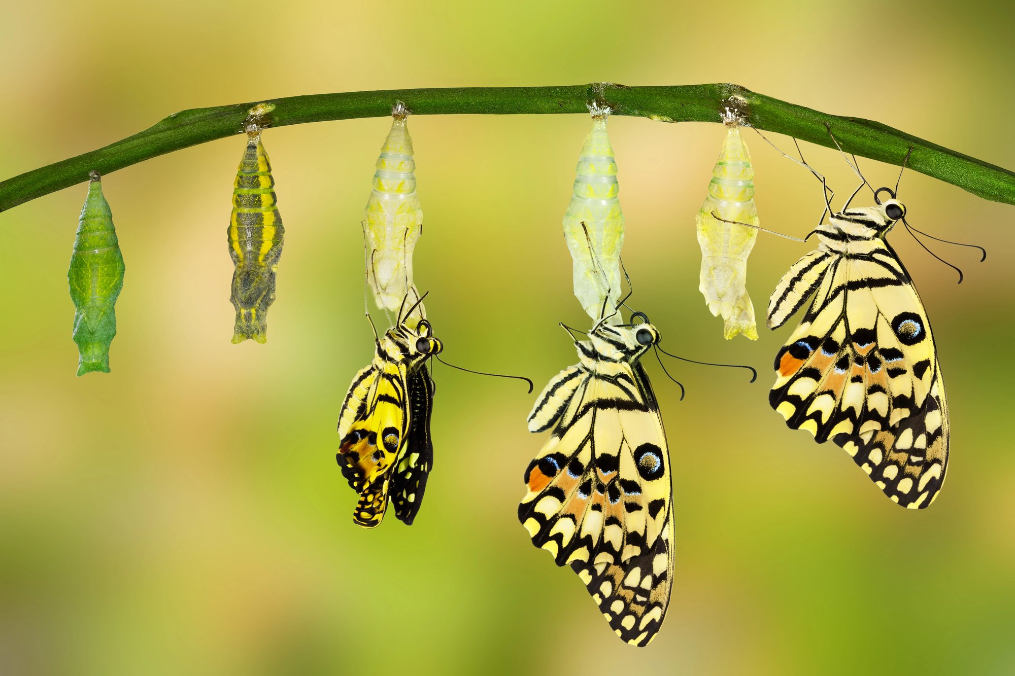 Positive Transformation to Improve Your Writing